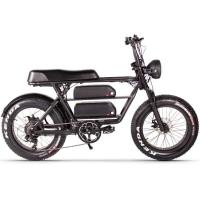 China 20 Inch Folding Fat Tire Electric Bike 1000w 750 Watt 500w 9.6Ah 40kmh Two Batteries for sale