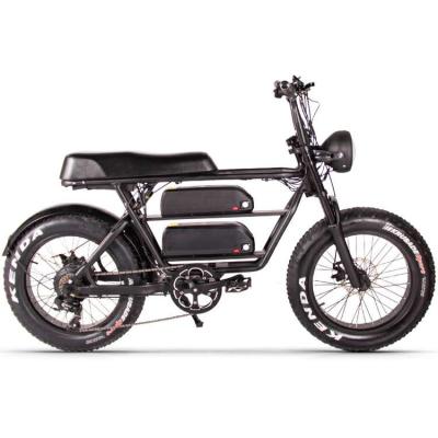 China 20 Inch Folding Fat Tire Electric Bike 1000w 750 Watt 500w 9.6Ah 40kmh Two Batteries for sale