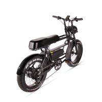 China Fat Tire Foldable Ebike Electric Double Batteries 500w 9.6Ah 40kmh for sale