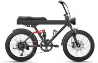 China 500w 9.6Ah 40kmh 20 Inch Fat Tire Ebike Bicycle Cargo Double Batteries Folding for sale