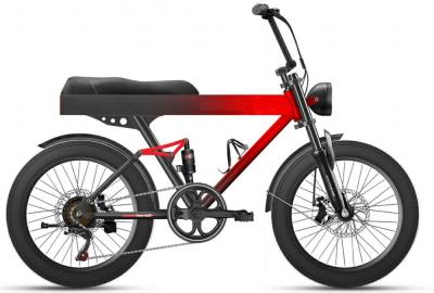 China Fat Tire Full Suspension Ebike Battery Double Cargo 48v 500w 9.6Ah 40kmh for sale