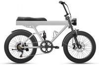 China 500w 9.6Ah 40kmh 20 Inch Fat Tire Ebike Bicycle Cargo Double Batteries Folding for sale