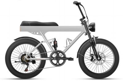 China 500w 9.6Ah 40kmh 20 Inch Fat Tire Ebike Bicycle Cargo Double Batteries Folding for sale