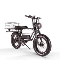 China 20 Inch Folding Fat Tire Electric Bike 1000w 750 Watt 500w 9.6Ah 40kmh Two Batteries for sale