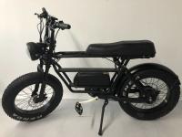 China 500w 9.6Ah 40kmh 20 Inch Fat Tire Ebike Bicycle Cargo Double Batteries Folding for sale