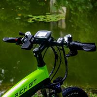 China Small Lightweight Fold Up Electric Bike Lunar Shape 36v 250w 9.6ah RICH BIT Top-880 for sale