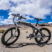 China Rich Bit Top 880 Electric Bike Mountain Foldable 36v 250w 9.6ah E Bike Mtb 26 for sale