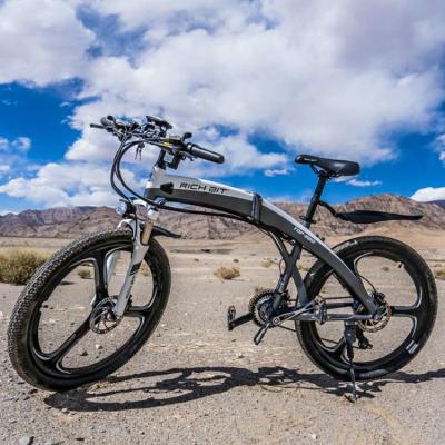 China Rich Bit Top 880 Electric Bike Mountain Foldable 36v 250w 9.6ah E Bike Mtb 26 for sale