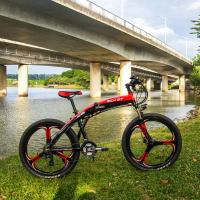 China Folding Lightweight Electric Bike Lunar Shape For Ladies 36v 250w 9.6ah for sale