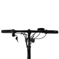 China Aluminum Ladies Folding Women Electric Bikes 250w Mechanical C Brake Rich Bit 618 for sale