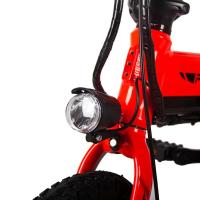 China Rich Bit Top 619 E Bike Folding Mini Electric Bike 250w 10Ah Integrated Frame for sale