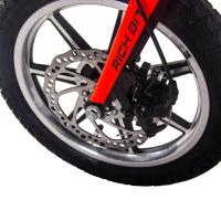 China Lightweight Fold Up Electric Bike Lightest Foldable Ebike Women 250w Portable for sale