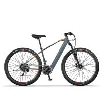 China 29 Inch Electric City Bicycle Pedal Assist 25km H CYSUM X3 for sale