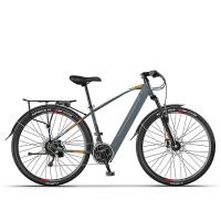 China 500w Mountain Snow Bike Electric Bicycle X3 High Carbon Steel Frame 29 Inch for sale