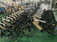 China 500w Mountain Snow Bike Electric Bicycle X3 High Carbon Steel Frame 29 Inch for sale