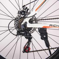 China 26 Inch Electric Bicycle Lightweight Ebike Mtb Rear Drive 36v 350w 10Ah RICH BIT 006 for sale
