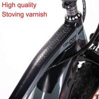 China High Powered Electric Mountain Bike 1000 Watt Fat Tire Richbit Smart E-Bike for sale