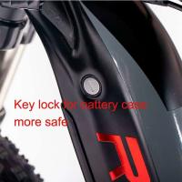 China High Powered Electric Mountain Bike 1000 Watt Fat Tire Richbit Smart E-Bike for sale