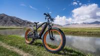 China Rich Bit Fat Snow Bike 26 Inch 1000 Watt Fat Tire Bike 48v RICH BIT 017 for sale