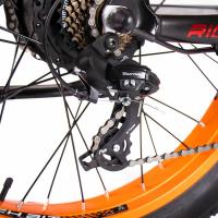 China High Powered Electric Mountain Bike 1000 Watt Fat Tire Richbit Smart E-Bike for sale