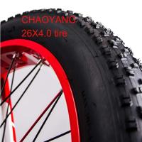 China Full Suspension Fat Tire E Bike Folding Electric Mountain 350w 48v RICH BIT 018 for sale