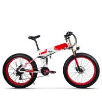 China Full Suspension Fat Tire E Bike Folding Electric Mountain 350w 48v RICH BIT 018 for sale