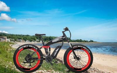 China 350w 26 Inch Fat Tire Ebike External Downtube Lithium Battery 48v Cysm Electric Bike for sale