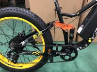 China 1000 Watt Mountain Full Suspension Ebike 48V Lithium Ion Battery RICH BIT 890 for sale