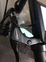 China Commuter Full Suspension Folding Ebike Full Sus E Mtb 20 X 4.0 48v 500w 13Ah RICH BIT 014 for sale