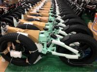 China Commuter Full Suspension Folding Ebike Full Sus E Mtb 20 X 4.0 48v 500w 13Ah RICH BIT 014 for sale