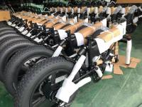 China 20 Inch Electric Fat Tire Bike 500w 20 X 4.0