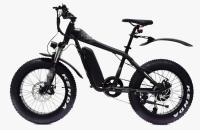 China 20In Fat Wheel E Bike 17Ah Big Lithium Battery Cysm Ebike for sale