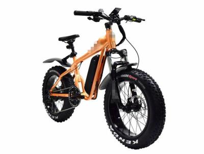 China 20 Fat Tyre Ebike 1000w 500w 17Ah Big Fat Wheel Electric Bicycle for sale