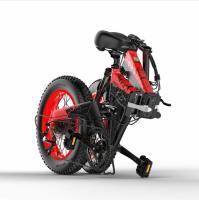 China 20 Inch Fat Tire Beach Cruiser Ebike X3000 48v 1000w 14.5Ah LG Battery Cells for sale
