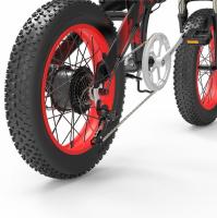 China Folding 20 Inch Fat Electric Bike Snow Beach Cruise X2000 Specialized 48v 1000w 12.8Ah LG for sale