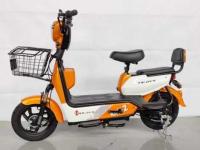 China Two 2 Person Electric Scooter Cycle 14