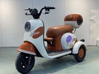 China Fat Tyre Electric Scooter Tricycle 14 Inch 48v 500w 20Ah Electric Chariot Scooter for sale
