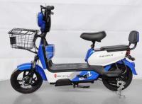 China Two 2 Person Electric Scooter Cycle 14