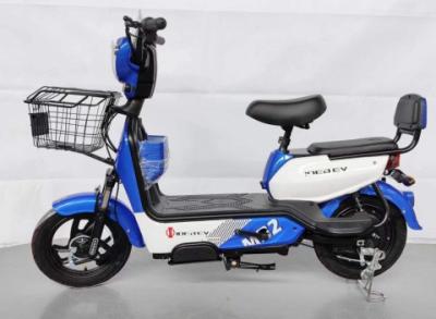 China Two 2 Person Electric Scooter Cycle 14