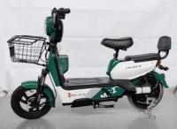 China Two 2 Person Electric Scooter Cycle 14