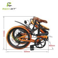 China Rich Bit Top 700 Folding Sport Electric Bike 48v 250w 8ah 20inch for sale