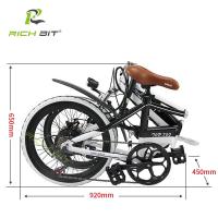 China Lightweight Foldable Electric Bike For Seniors Adults 48v 250w 20
