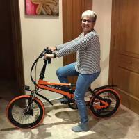 China Lightweight Foldable Electric Bike For Seniors Adults 48v 250w 20
