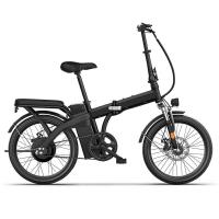 China Off Road Mens Folding Electric Bike For Tall Man 48v 350w 10Ah Rear Seat Post Battery for sale