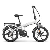 China Off Road Mens Folding Electric Bike For Tall Man 48v 350w 10Ah Rear Seat Post Battery for sale