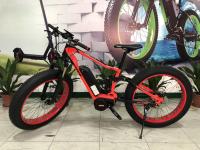 China Bafang Full Suspension Mid Drive Ebike Fat Tire Snow Bike 48v 1000w 13Ah for sale