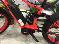 China Bafang Full Suspension Mid Drive Ebike Fat Tire Snow Bike 48v 1000w 13Ah for sale