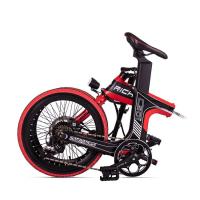China Mini Portable Multifunctional Folding Electric Bicycle Lightweight Foldable Ebike 48v 250w for sale