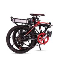 China 20 Inch Ebike 48v Electric Folding Bicycle 250w Rear Carrier Big Battery RICHBIT R900 for sale