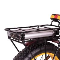 China High Speed Long Range Electric Bikes Touring Fat Rear Rack 17Ah 20Ah 1000w for sale